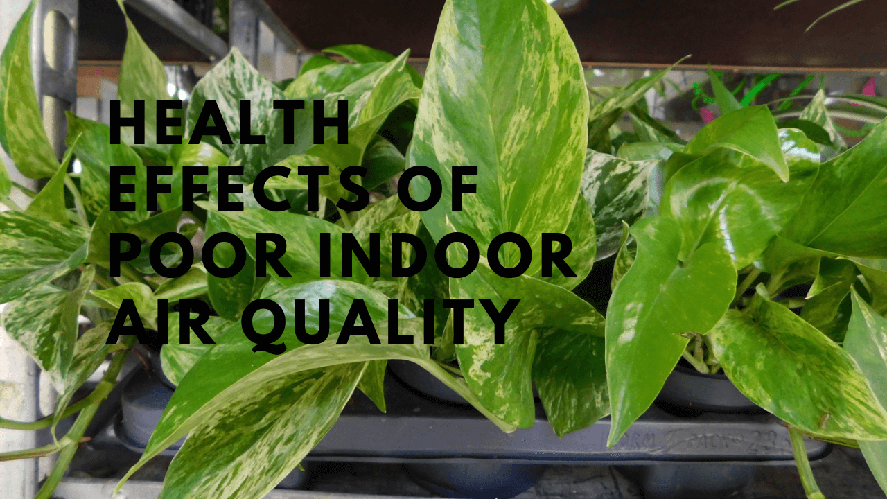 Health Effects of Poor Indoor Air Quality | Oxygen Land