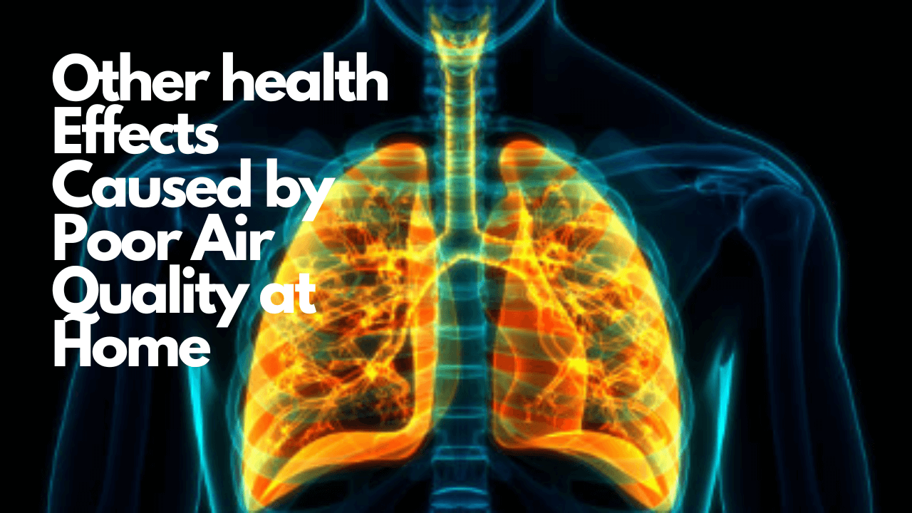 Other health Effects Caused by Poor Air Quality at Home | Oxygen Land
